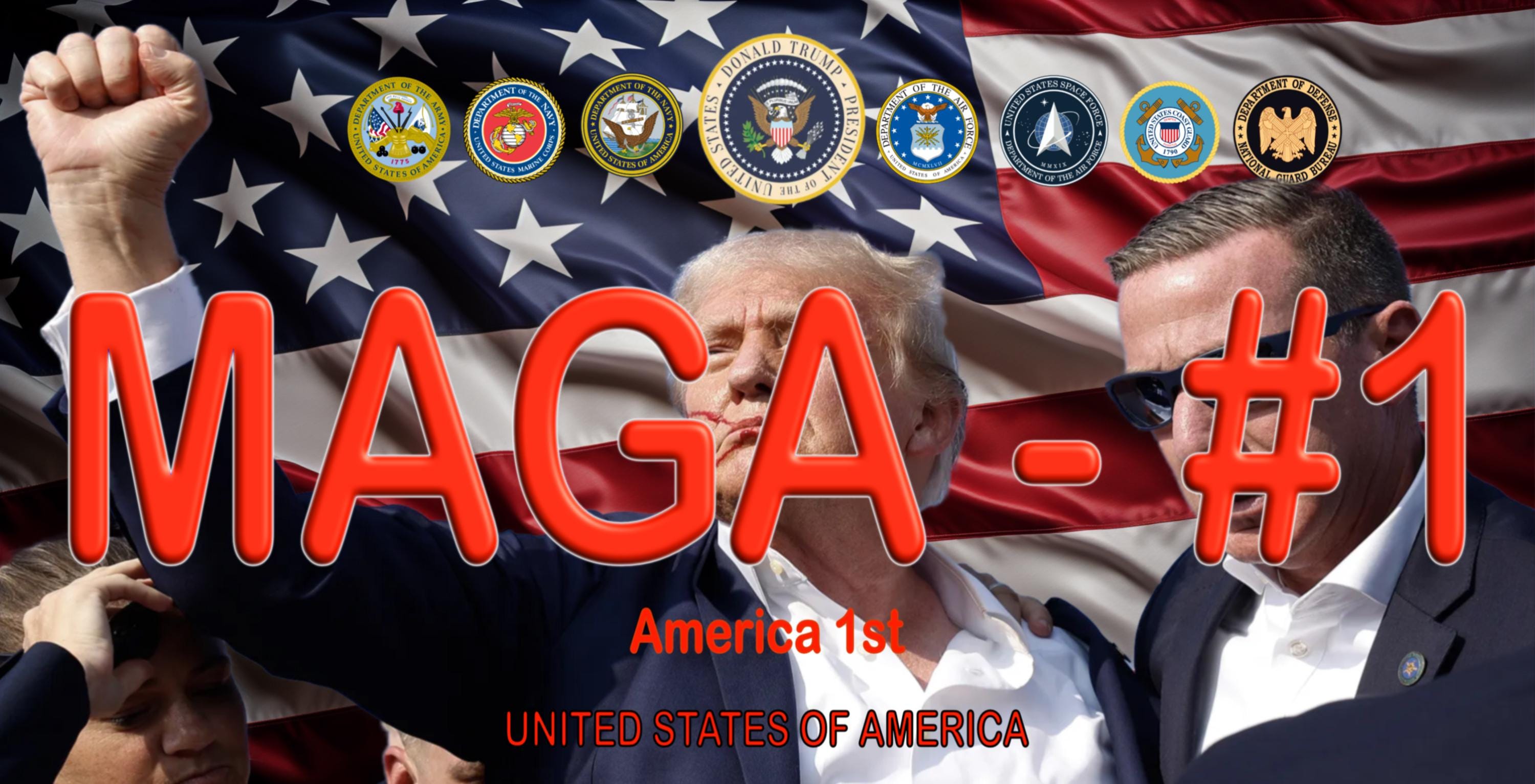MAGA Custom License Plate - Etsy