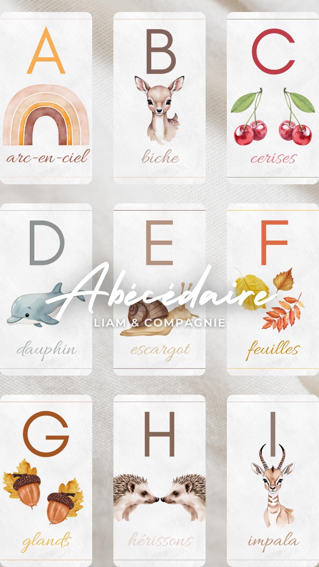 104 Illustrated Cards, Flashcards, Flash Cards, Nomenclature ...