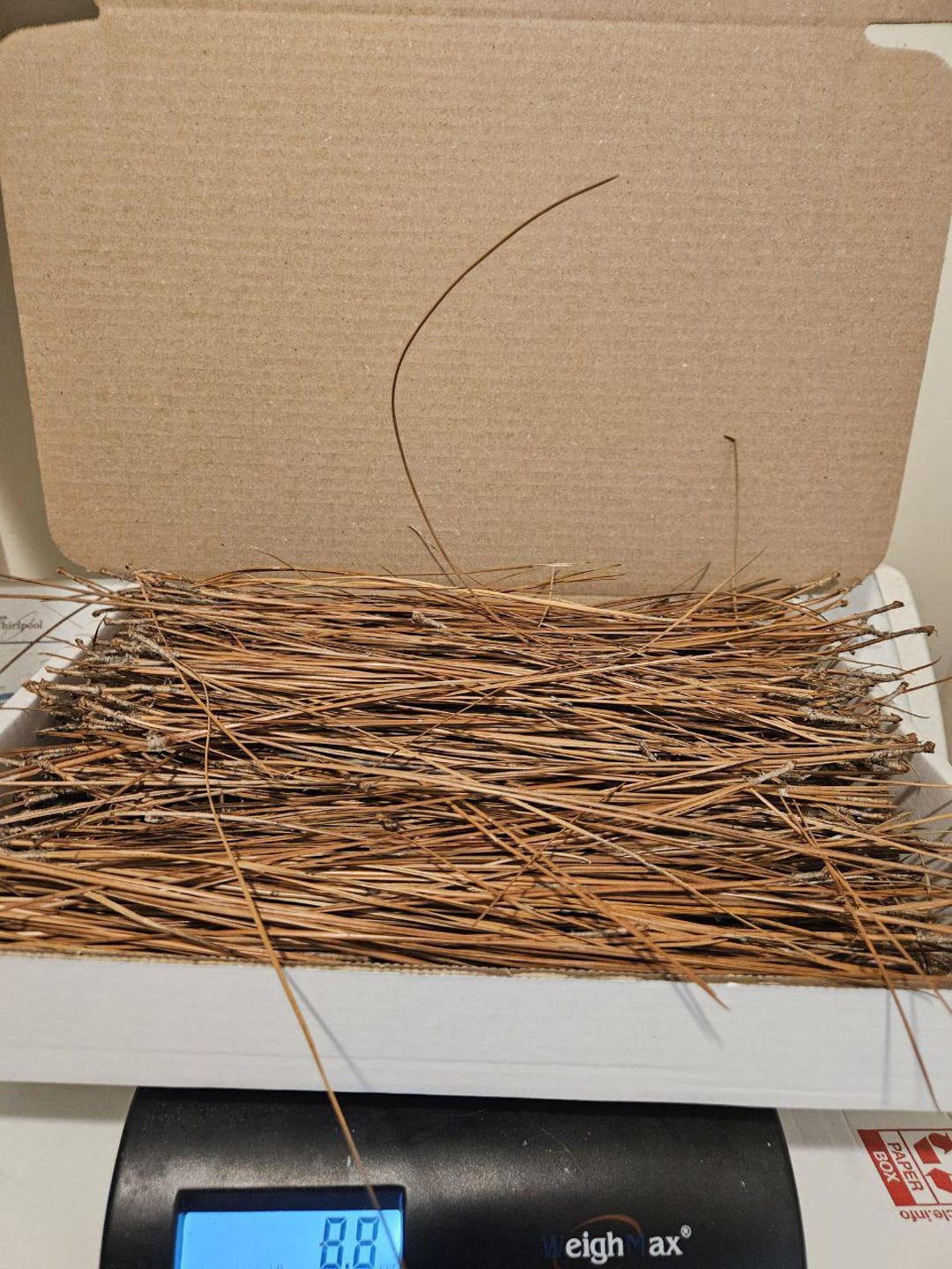 8oz Long Leaf Pine Straw unsorted - Etsy
