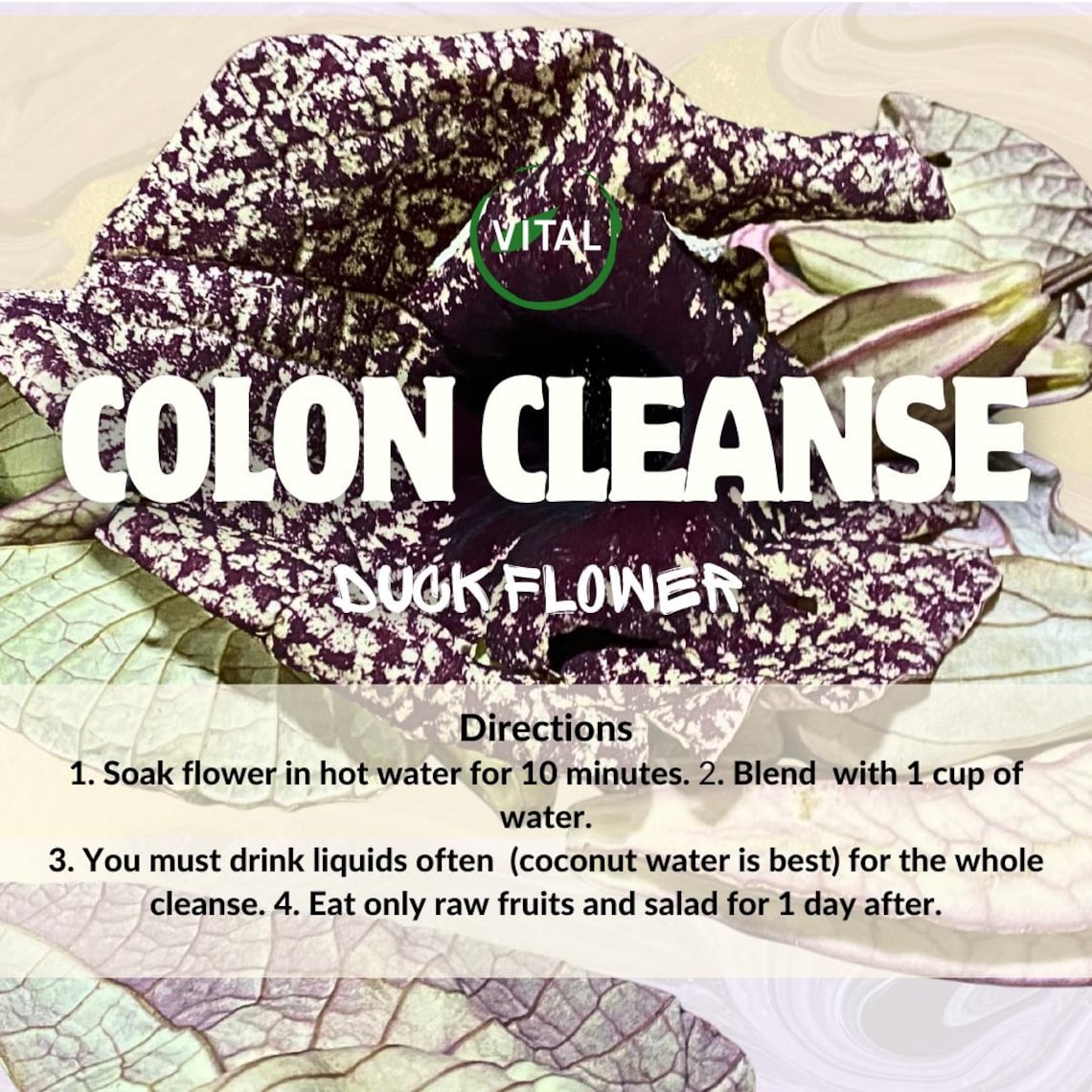 DUCK FLOWER - Colon and System Cleanse - Etsy Canada