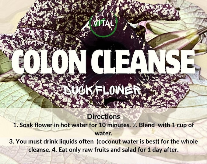 Duck Flower Detox - Flor De Pato, Approved Alkaline Herbal Cleanse ...