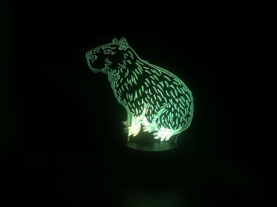 3D LED Capybara Lamp, Night Lamp, Night Light, Illusion Lamp, Colour ...