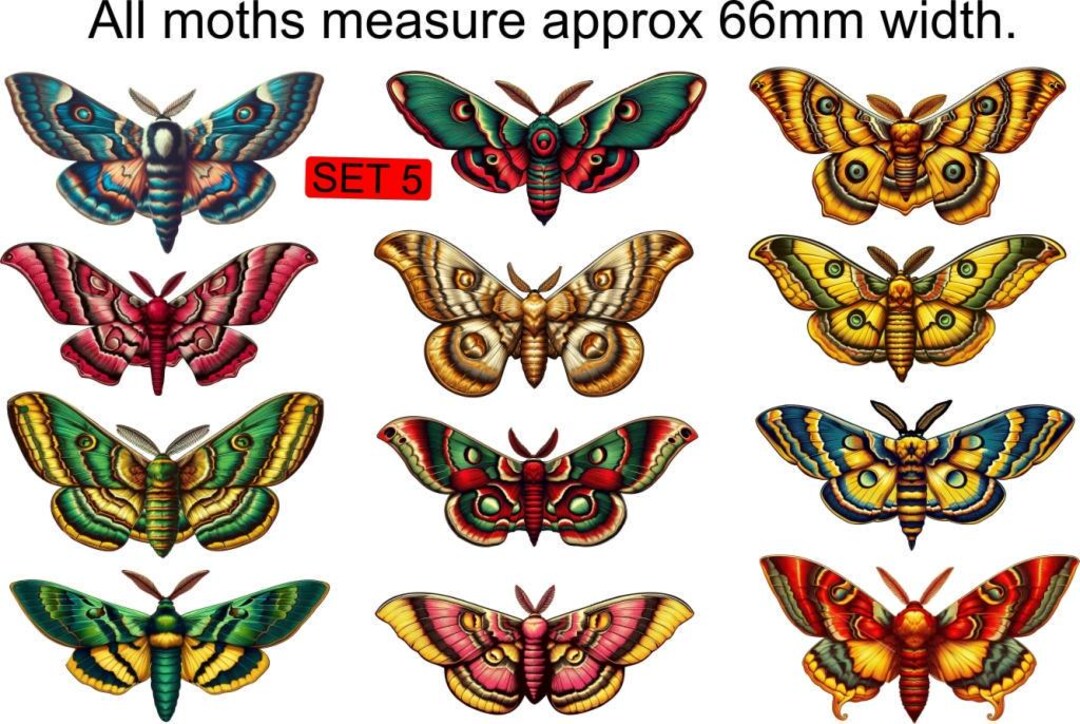 Colourfull Moths. 12x Pack Vibrant Moths. Cut on a Laser. - Etsy
