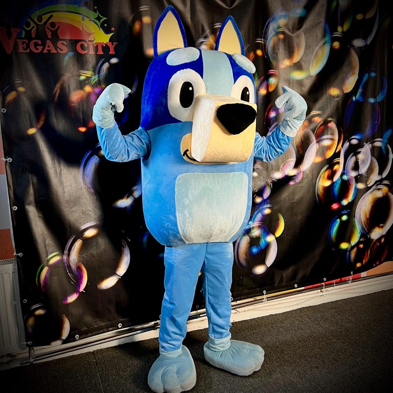 Bluey and Bingo Mascot Costumes Party Characters for Kids Events, Shows ...