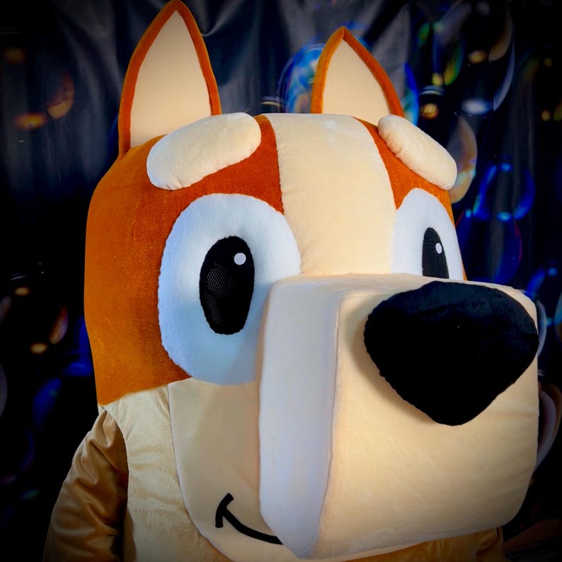 Custom Life-size Mascot Costume: Handmade Plush Character Suit - Etsy