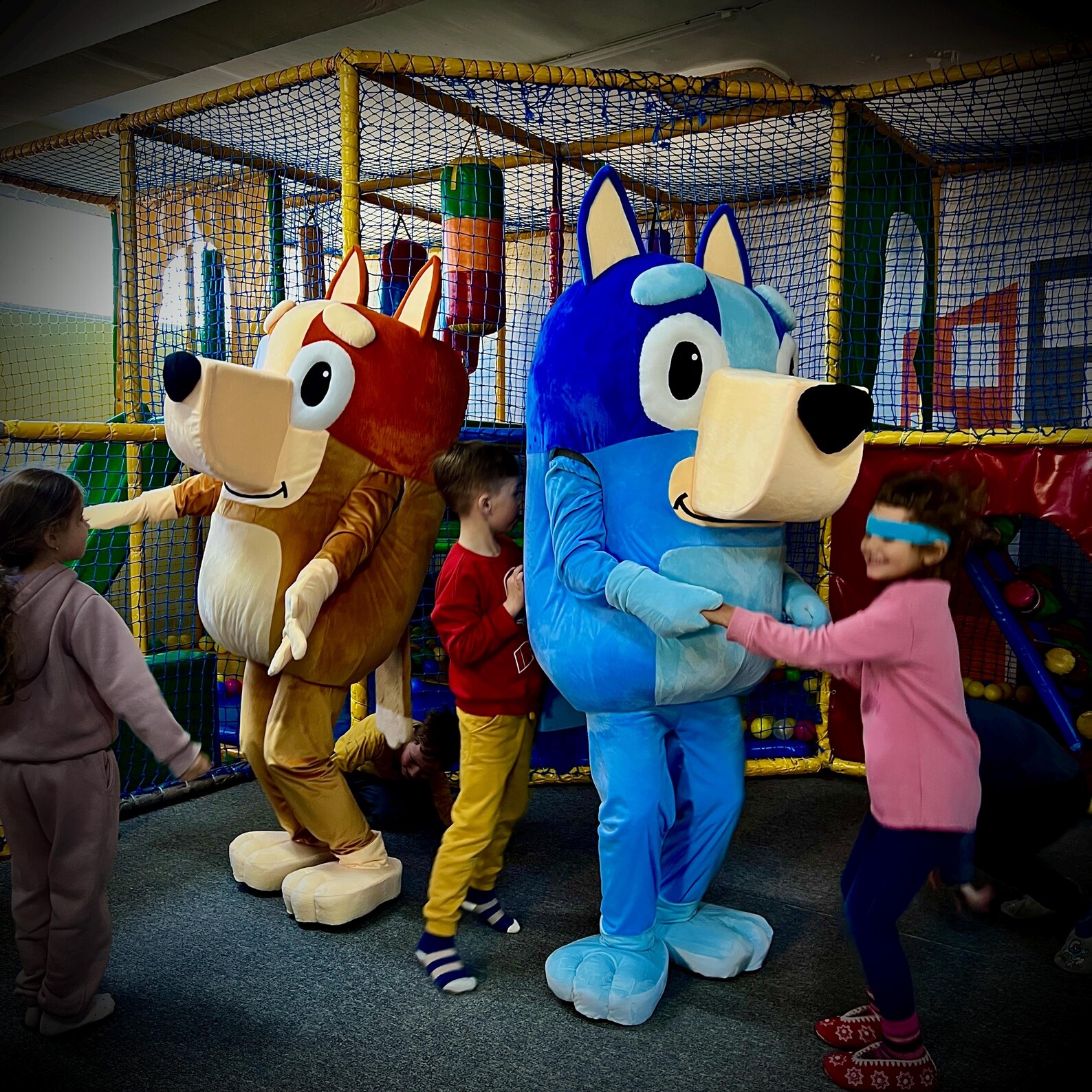 Custom Life-size Mascot Costume: Handmade Plush Character Suit - Etsy