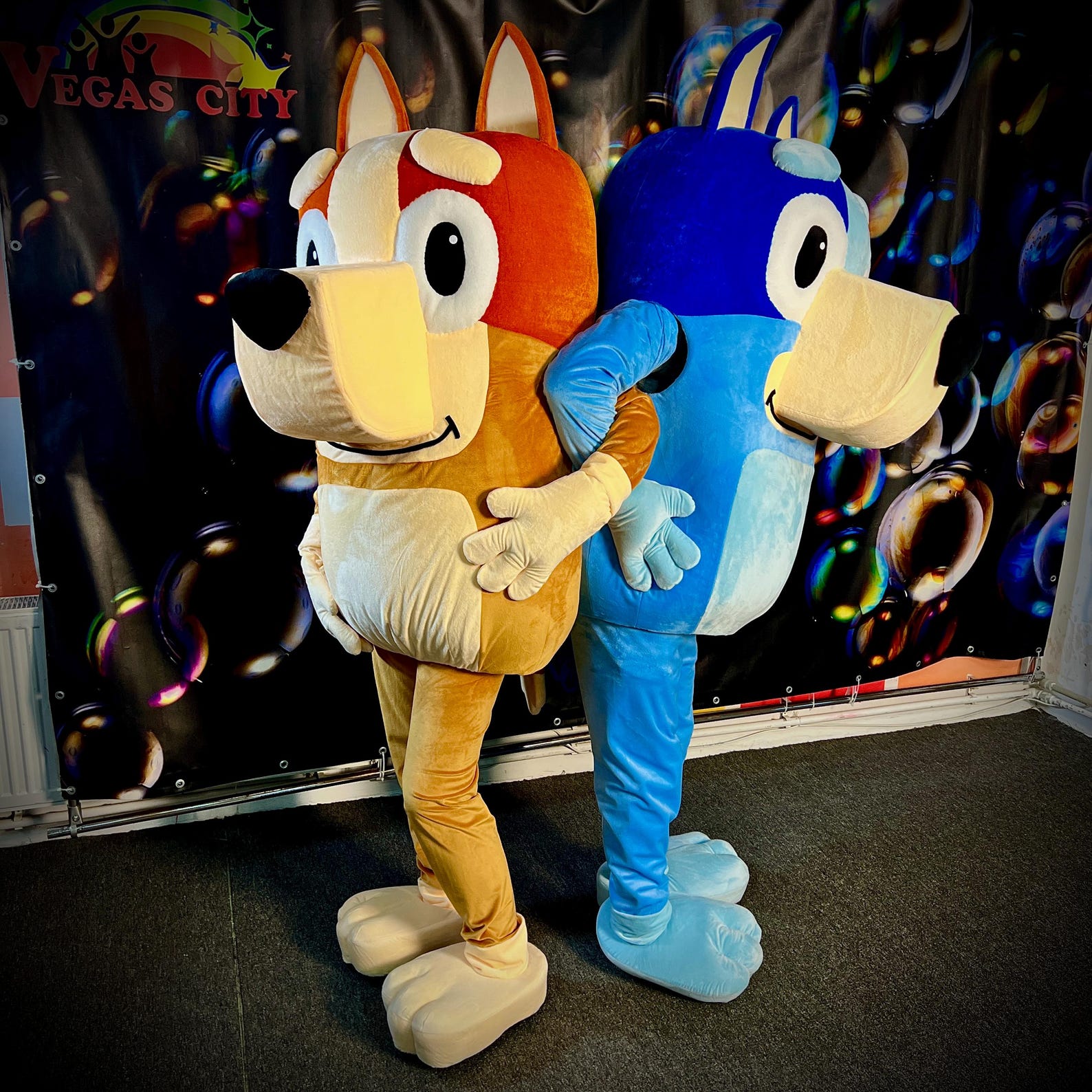 Custom Life-size Mascot Costume: Handmade Plush Character Suit - Etsy