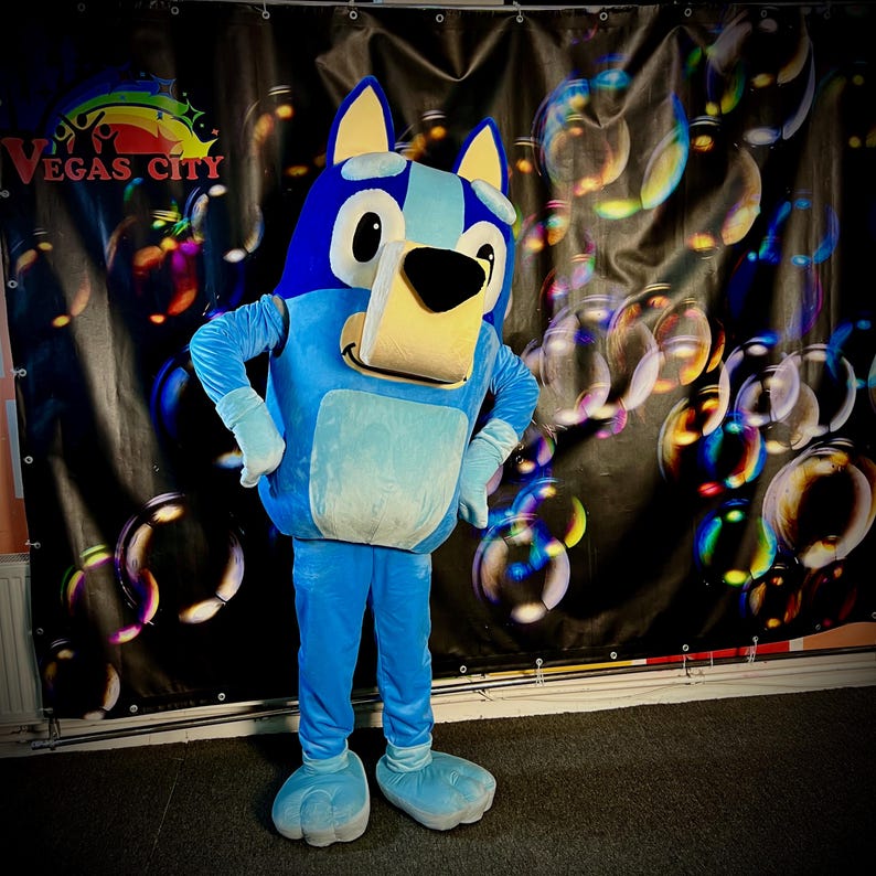 Custom Life-size Mascot Costume: Handmade Plush Character Suit - Etsy