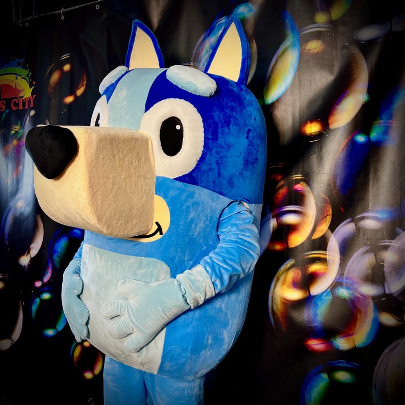 Custom Life-size Mascot Costume: Handmade Plush Character Suit - Etsy
