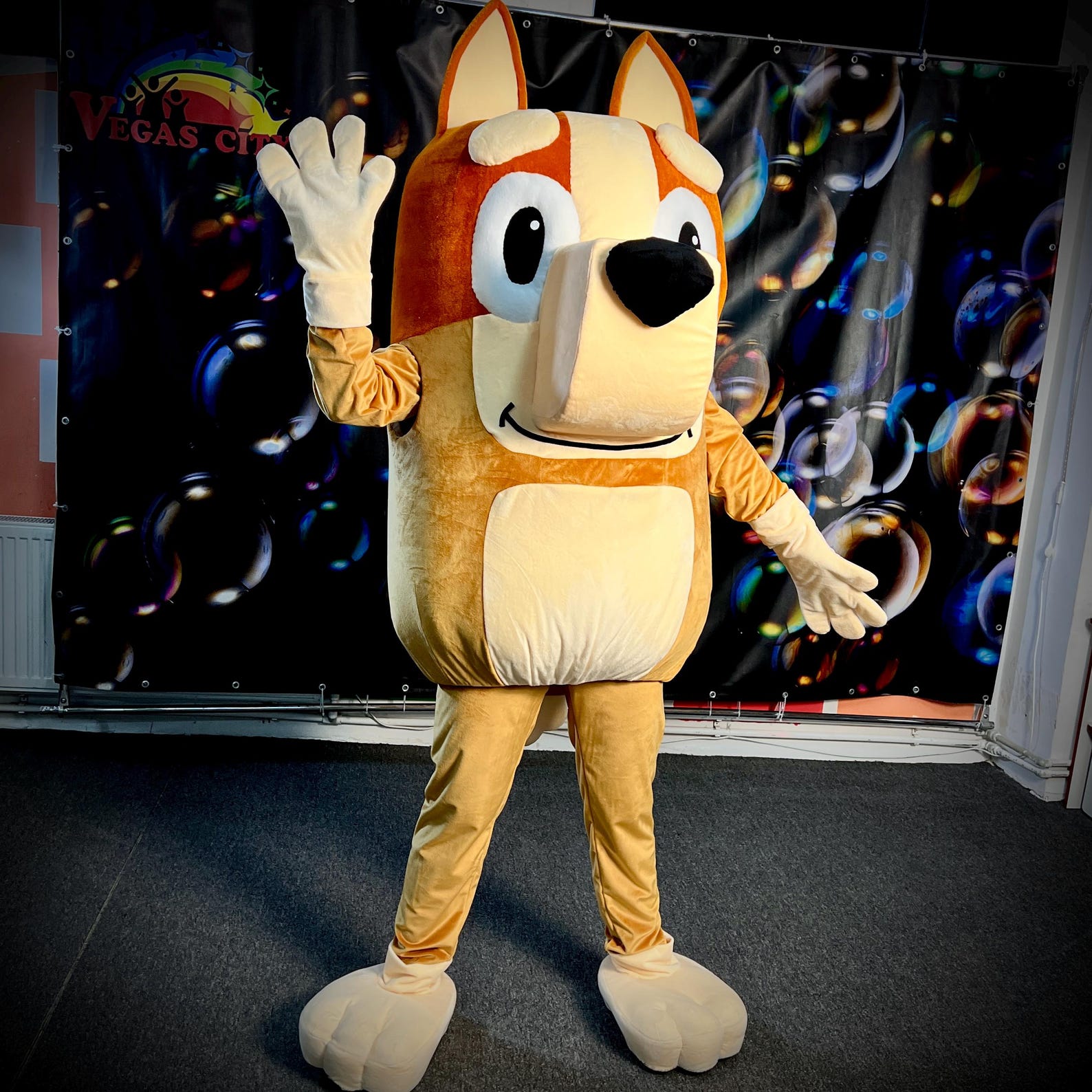Bluey and Bingo Mascot Costumes Party Characters for Kids Events, Shows ...