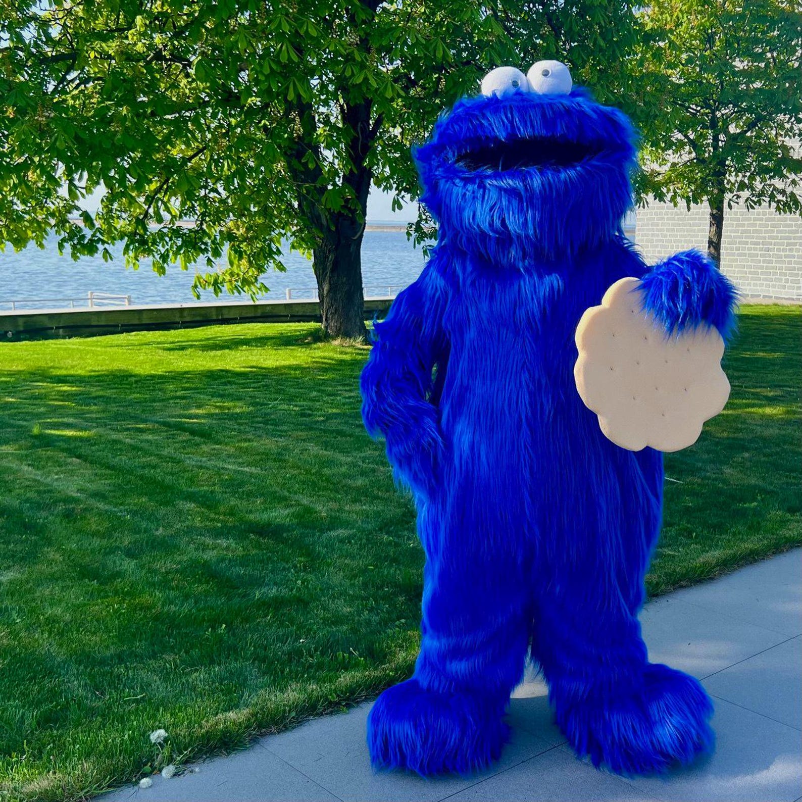 Custom Life-size Mascot Costume: Handmade Plush Character Suit - Etsy