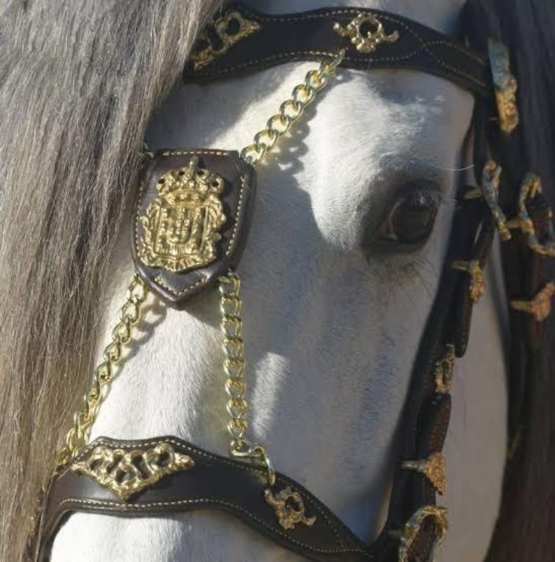 Fancy Horse Bridle Handmade Luxury Cowhide Leather Horse Bridle With ...