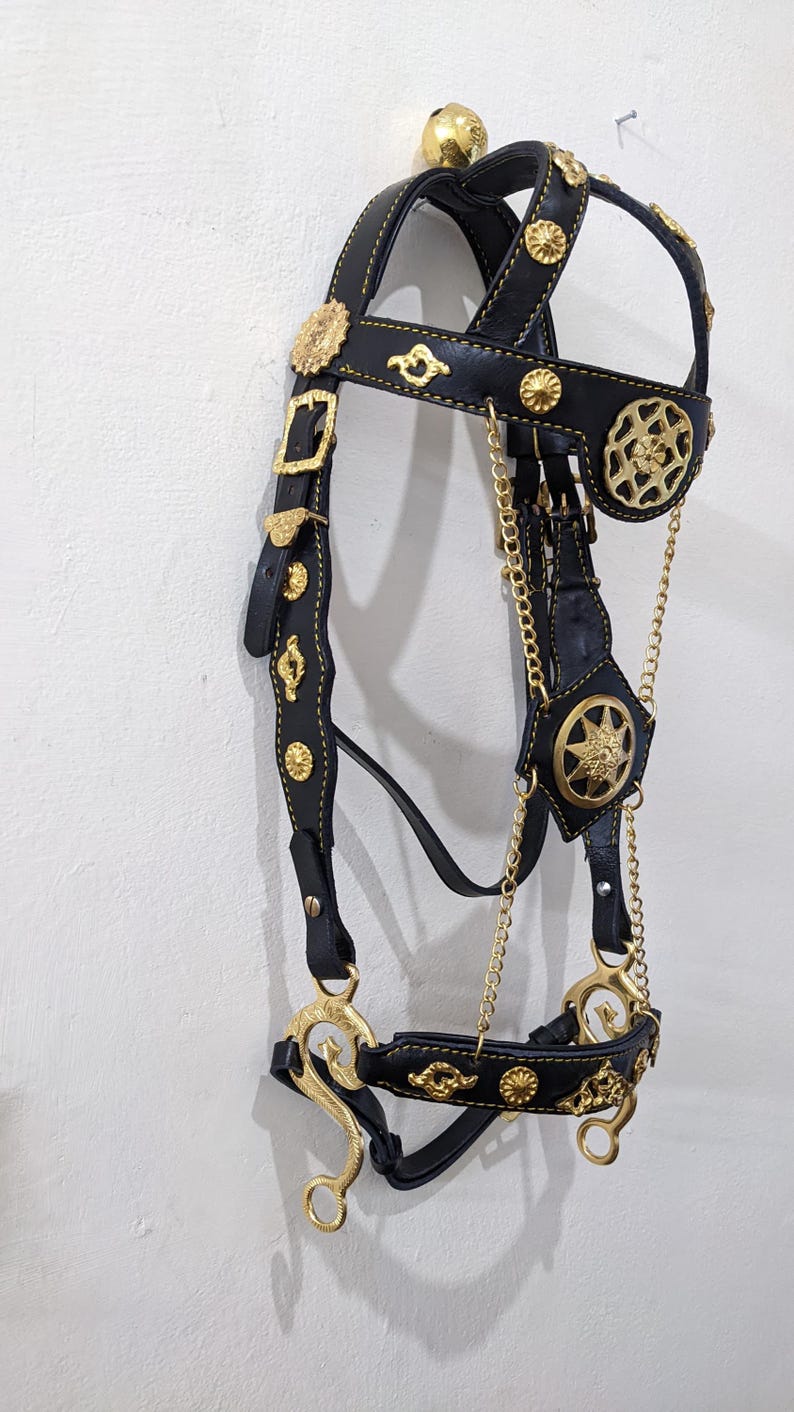 Fancy Bit Less Horse Bridle With Fancy Hackamore Bit & Breast Collar ...
