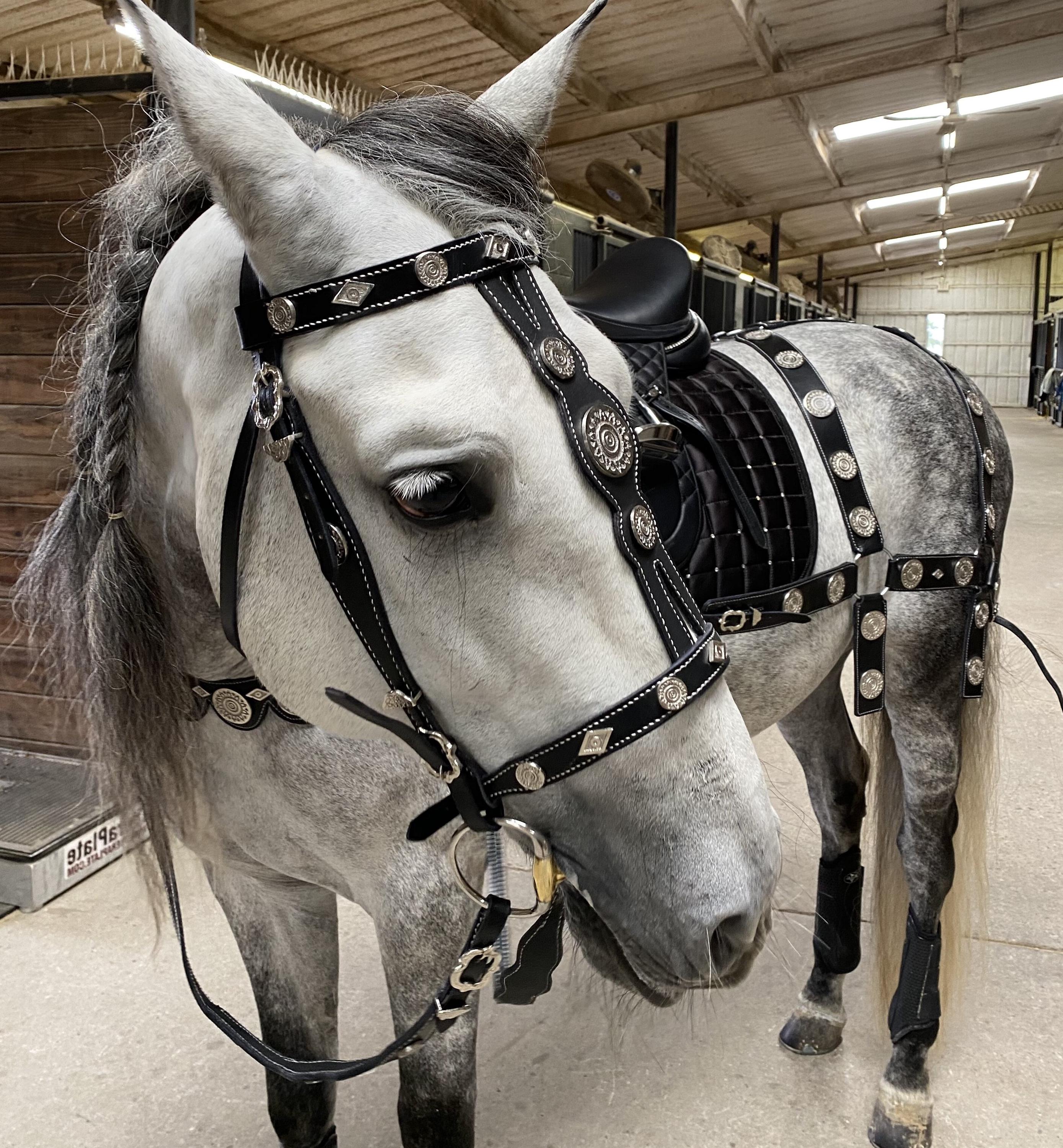 Fancy Horse Bridle Set With Breast Collar & Breeching , Leather Horse ...