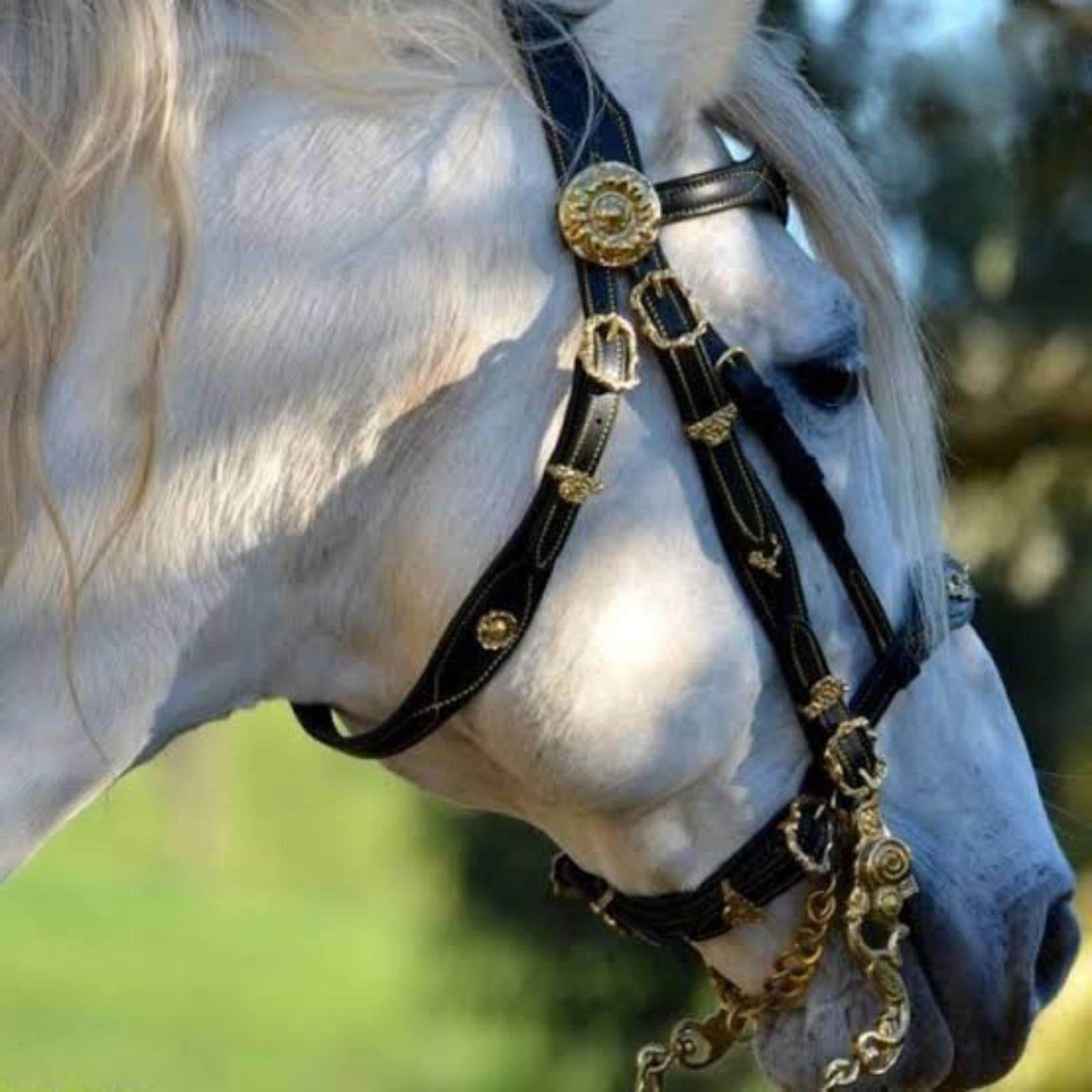 Fancy Horse Bridle Handmade Luxury Cowhide Leather Horse Bridle With ...