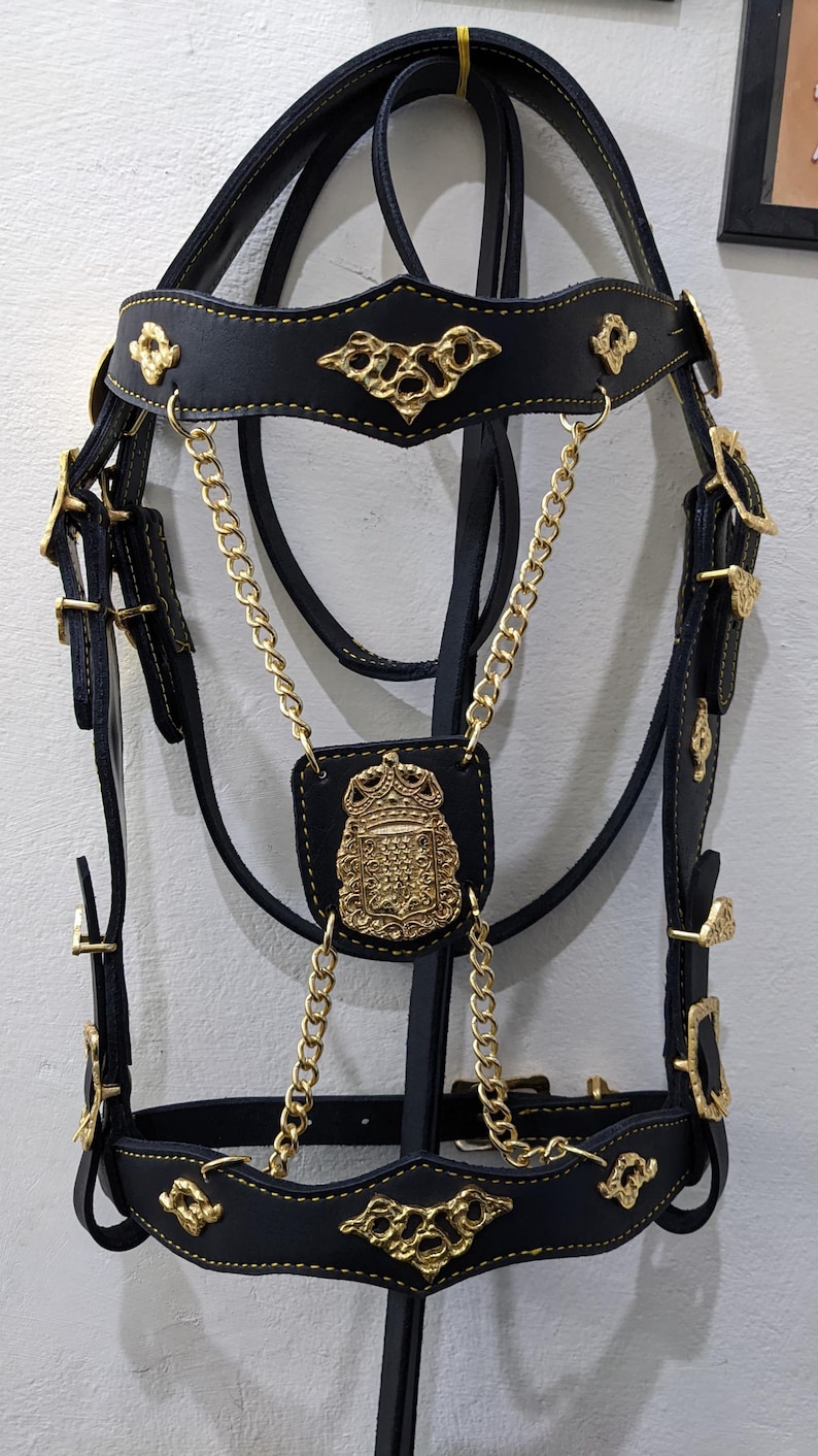 Fancy Horse Bridle Set , Spanish Style Horse Bridle , Horse Bridle With ...