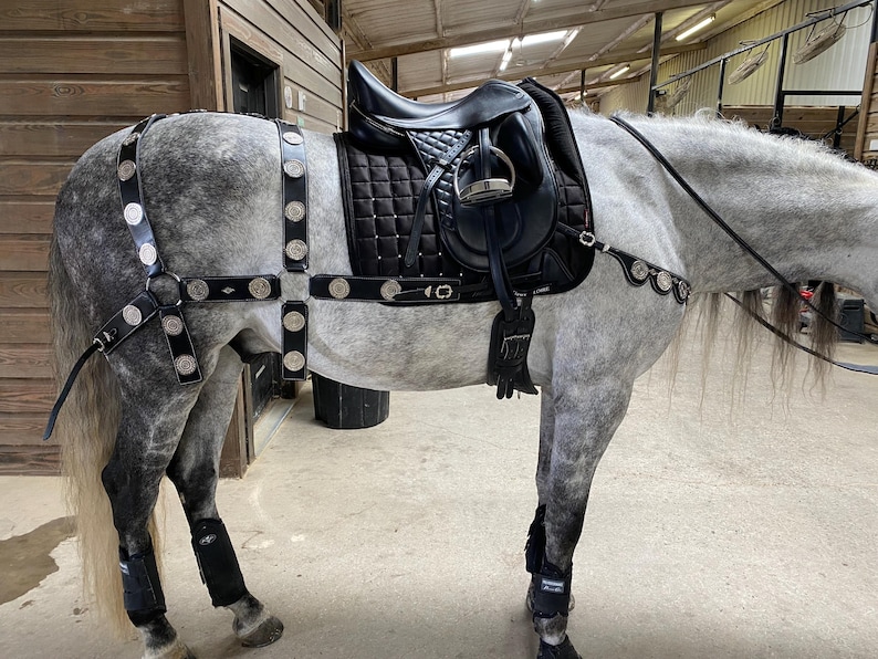Fancy Horse Bridle Set With Breast Collar & Breeching , Leather Horse ...