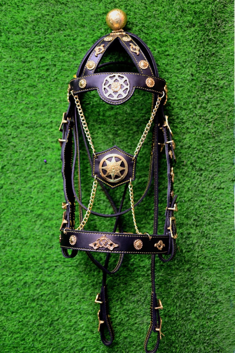 Fancy Horse Bridle & Breast Collar in Pure Cowhide Leather, Brass ...