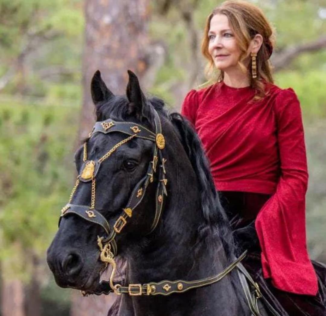 Fancy Horse Bridle Set , Spanish Style Horse Bridle , Horse Bridle With ...