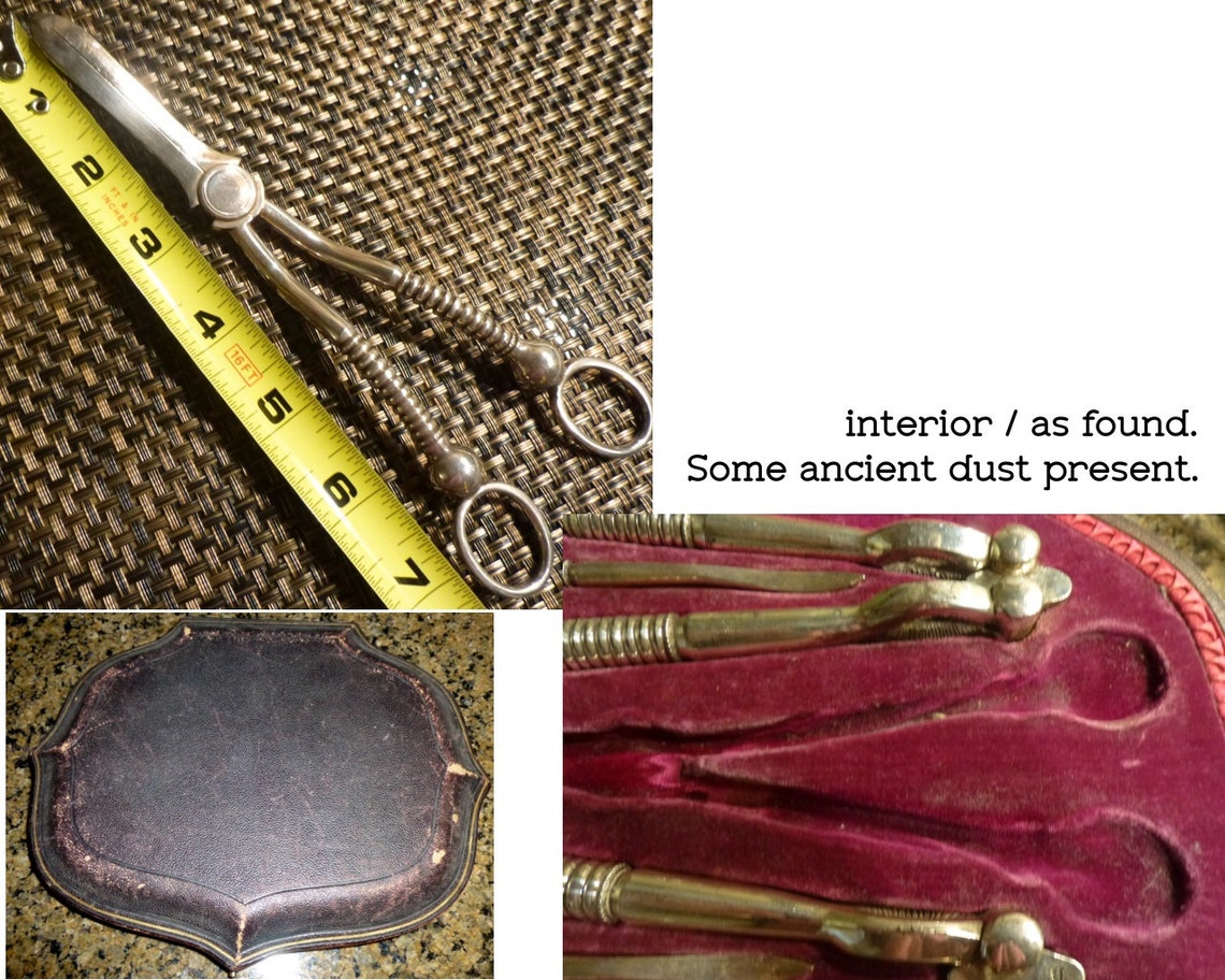 Walker and Hall Plated Dessert Set. Nutcrackers, Nut Picks and Grape ...