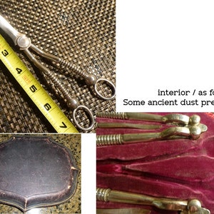 Walker and Hall Plated Dessert Set. Nutcrackers, Nut Picks and Grape ...