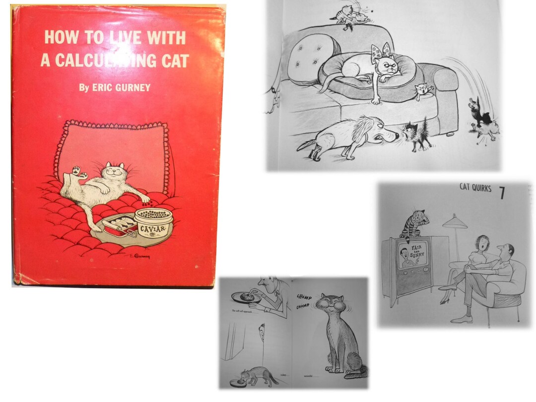 How to Live With A Calculating Cat. Witty Charming Humorous - Etsy