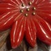 Red Bakelite & Wood Poinsettia Pin. Two Inches Wide. Circa 1940s. Pin ...