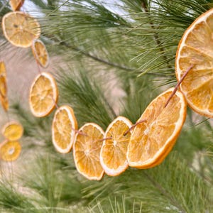 Dried Citrus Garland - Etsy