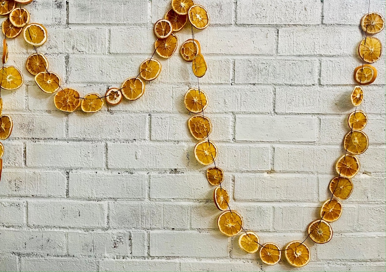 Dried Citrus Garland - Etsy