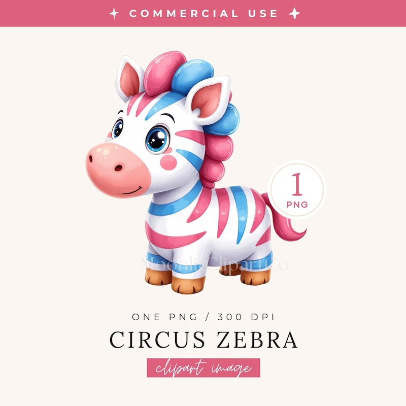Circus Zebra - Etsy