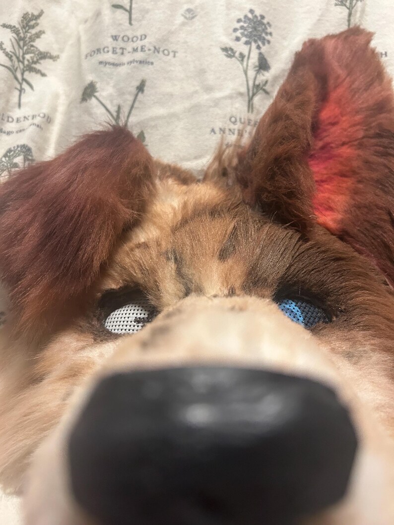 Brown Border Collie Mask - Etsy