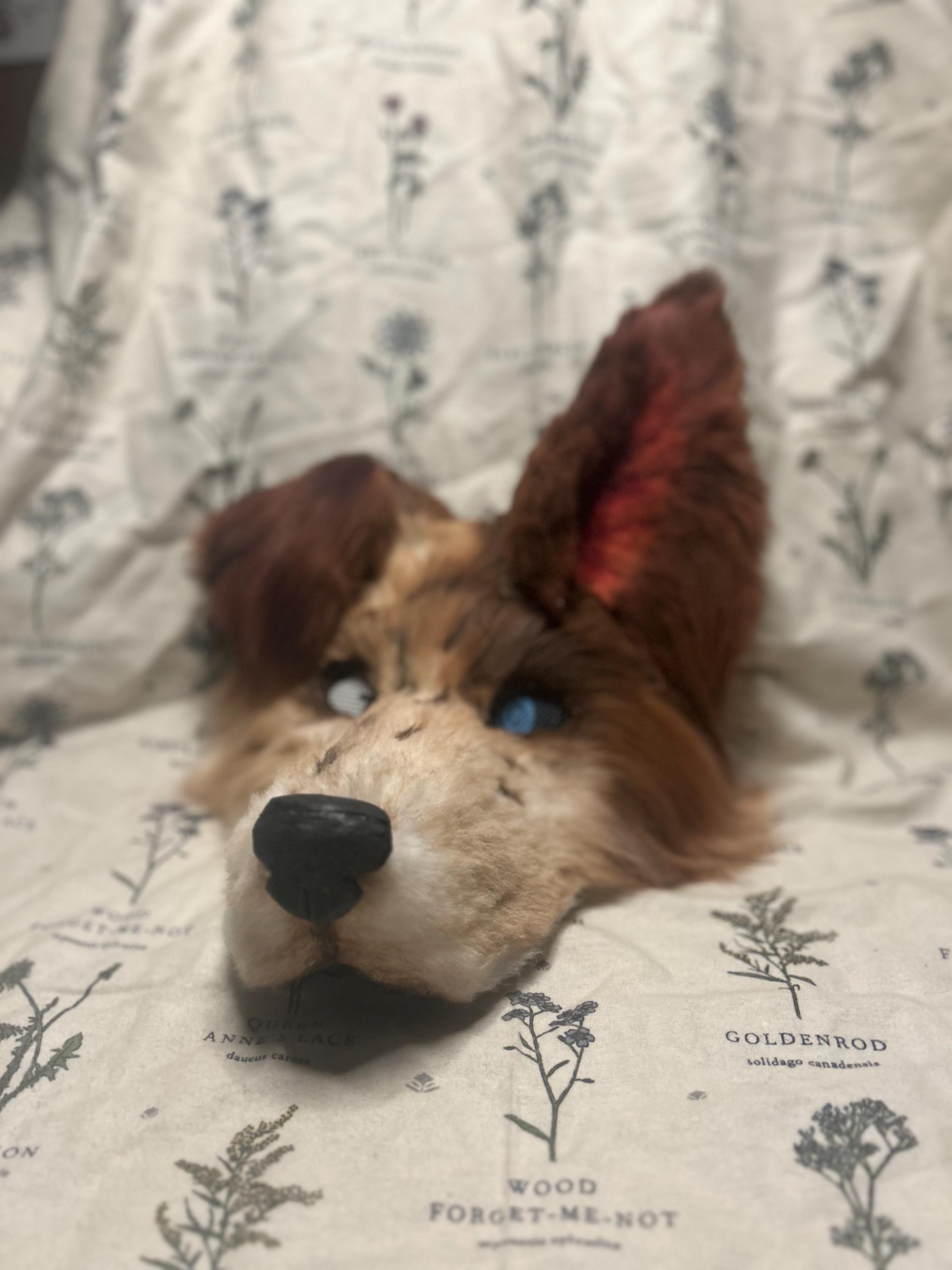 Brown Border Collie Mask - Etsy