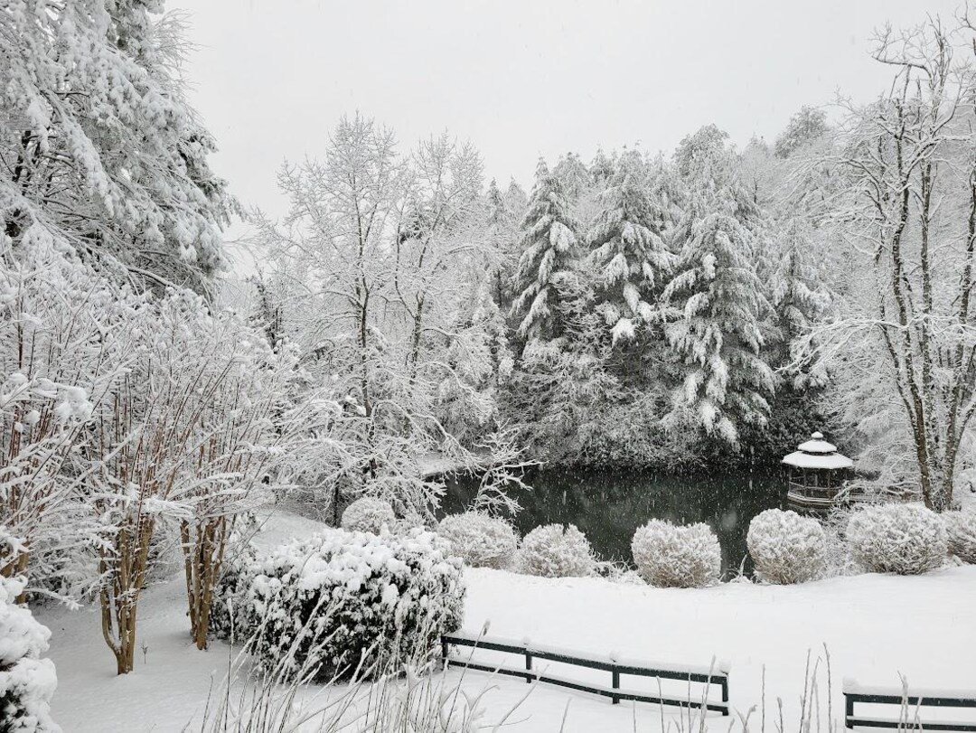 Snowy View Over Ponds in This Winter Wonderland. Download and Print - Etsy