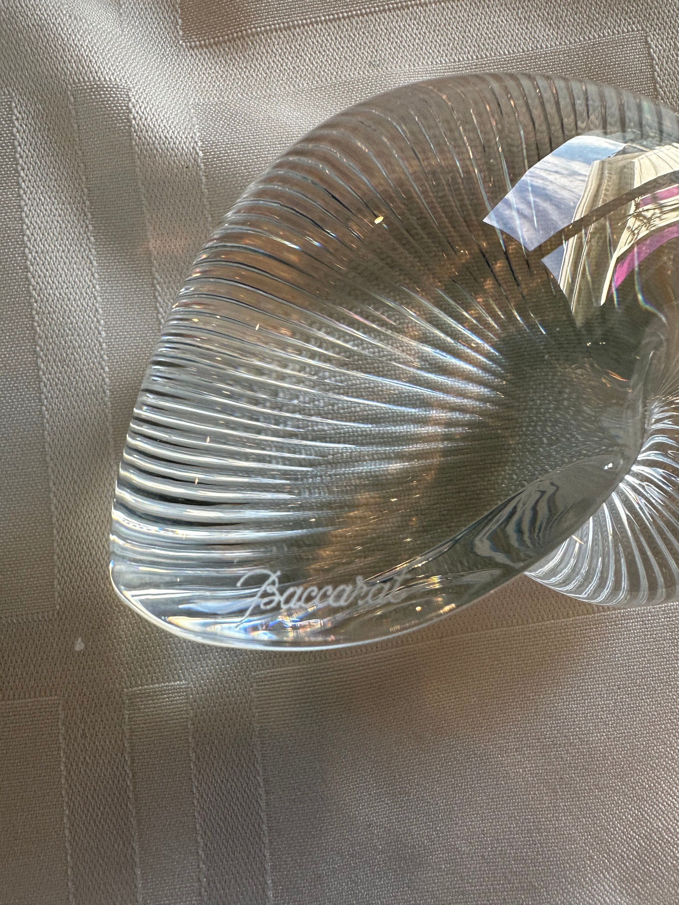 Baccarat Crystal Nautilus Seashell - Made in France - Measures 4"l X 2 ...