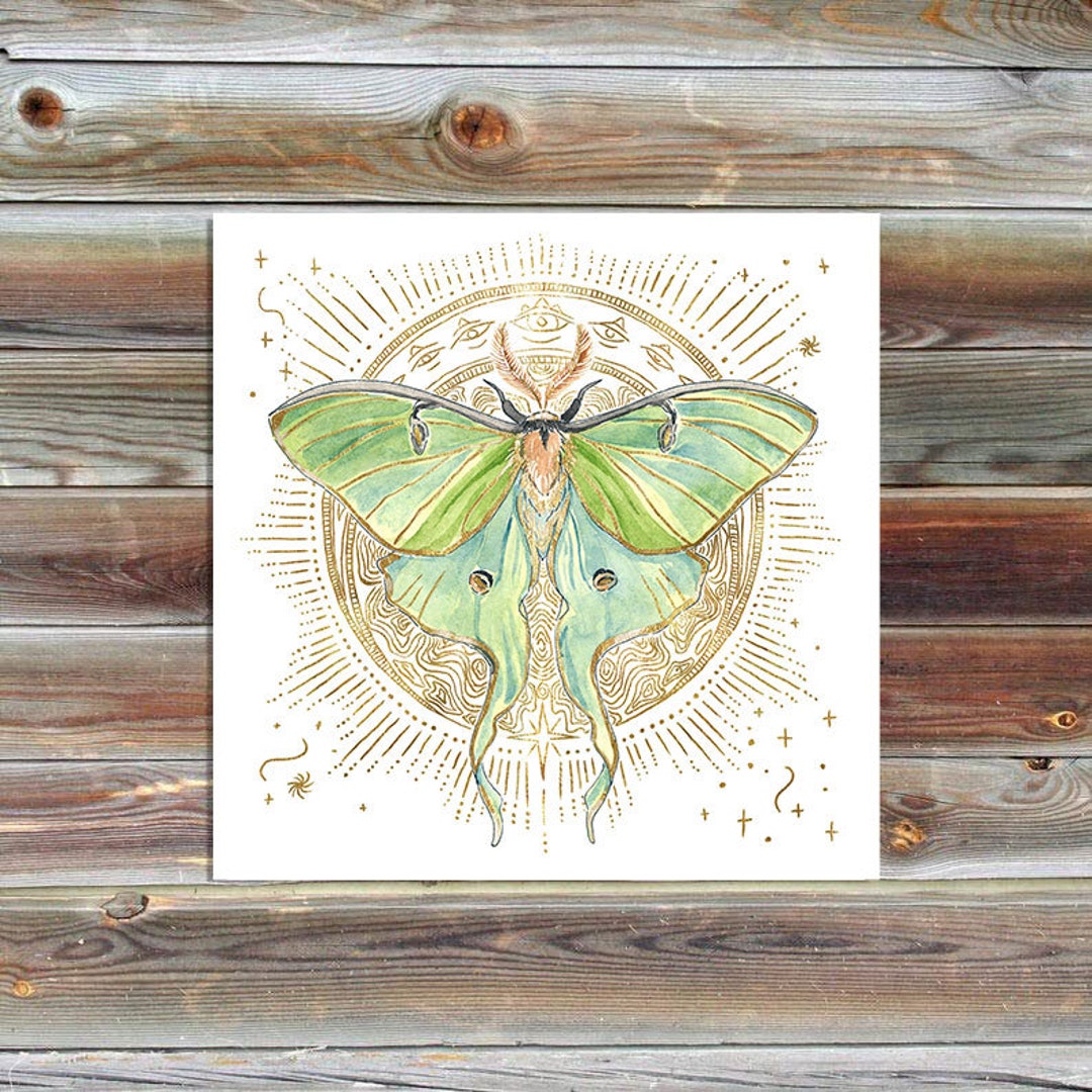 Gilded Order : Luna Moth - Print - Etsy