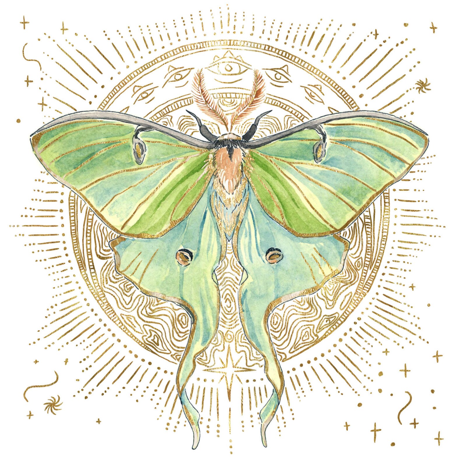 Gilded Order : Luna Moth - Print - Etsy