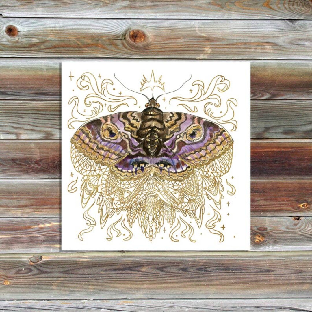 Gilded Order : Granny's Cloak Moth- Print - Etsy
