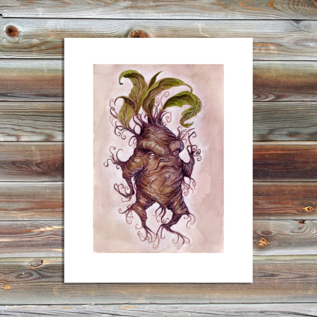 Mandrake I Print - Etsy