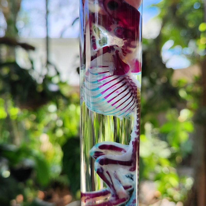 Diaphonization - Etsy