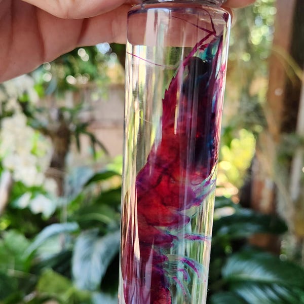 Diaphonization - Etsy