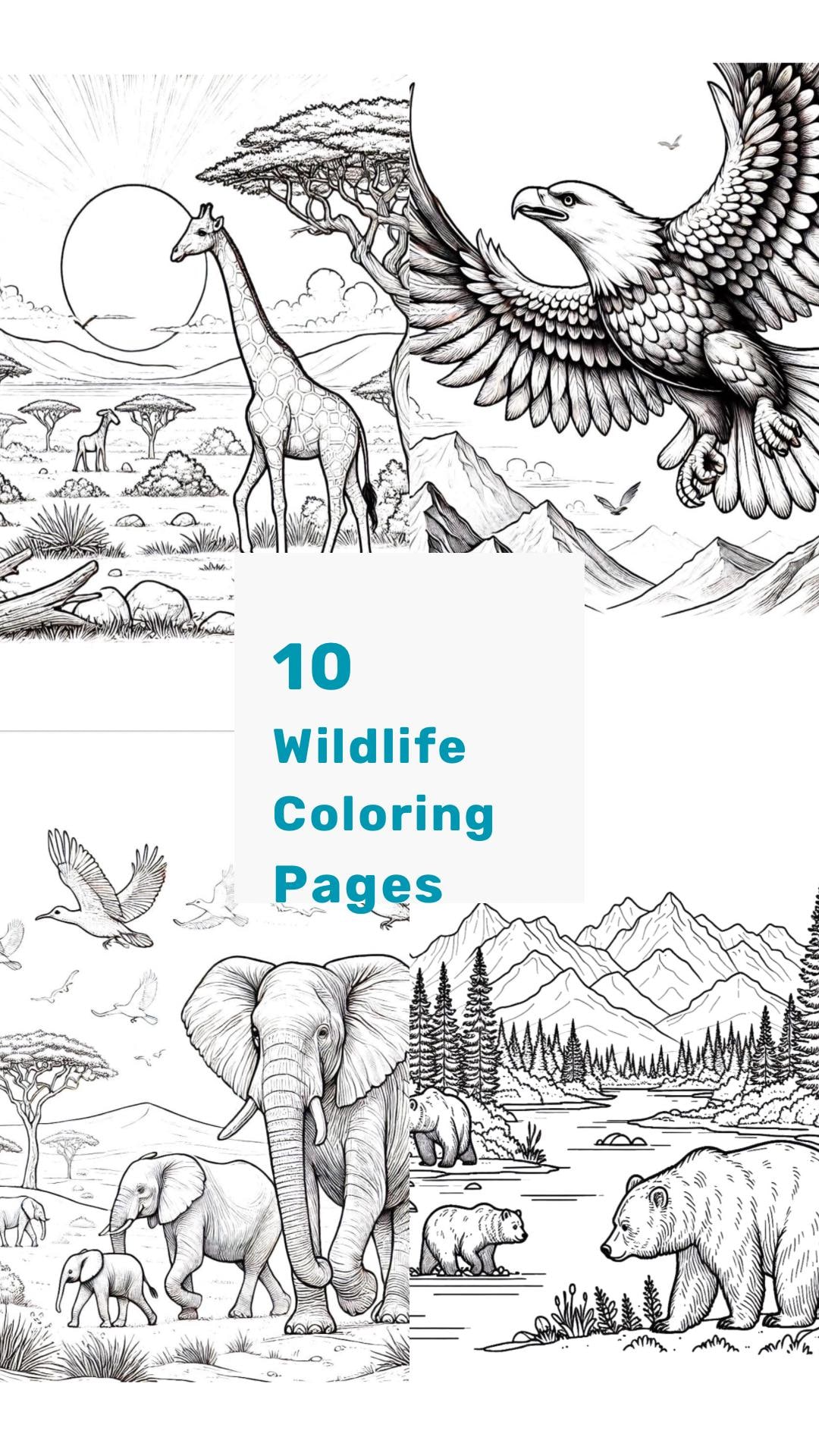 Wildlife Coloring Pages - Etsy