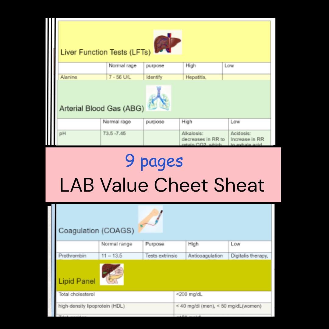 Lab Value Cheat Sheet + ABG + Memory Tricks | 9 Pages PDF Instant ...