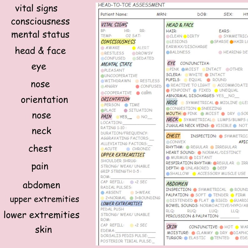 Head to Toe Assessment Sheet (2 Versions), Nursing Student Brain Report ...