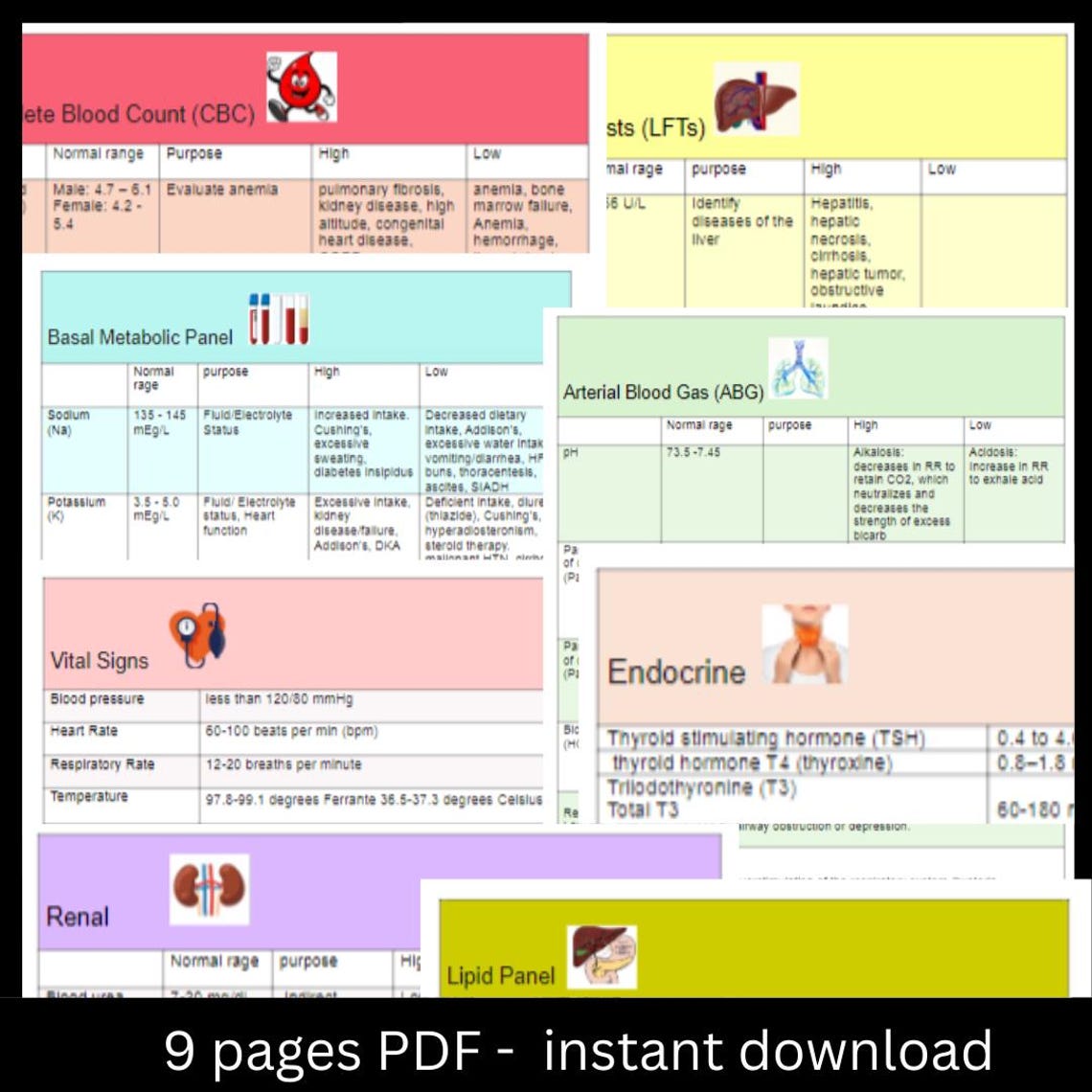 Lab Value Cheat Sheet + ABG + Memory Tricks | 9 Pages PDF Instant ...