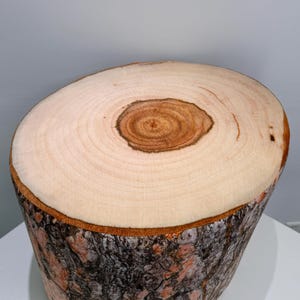 Tree Stump Pouf Ottoman: Velvet Fabric Cylinder Floor Cushion - Etsy