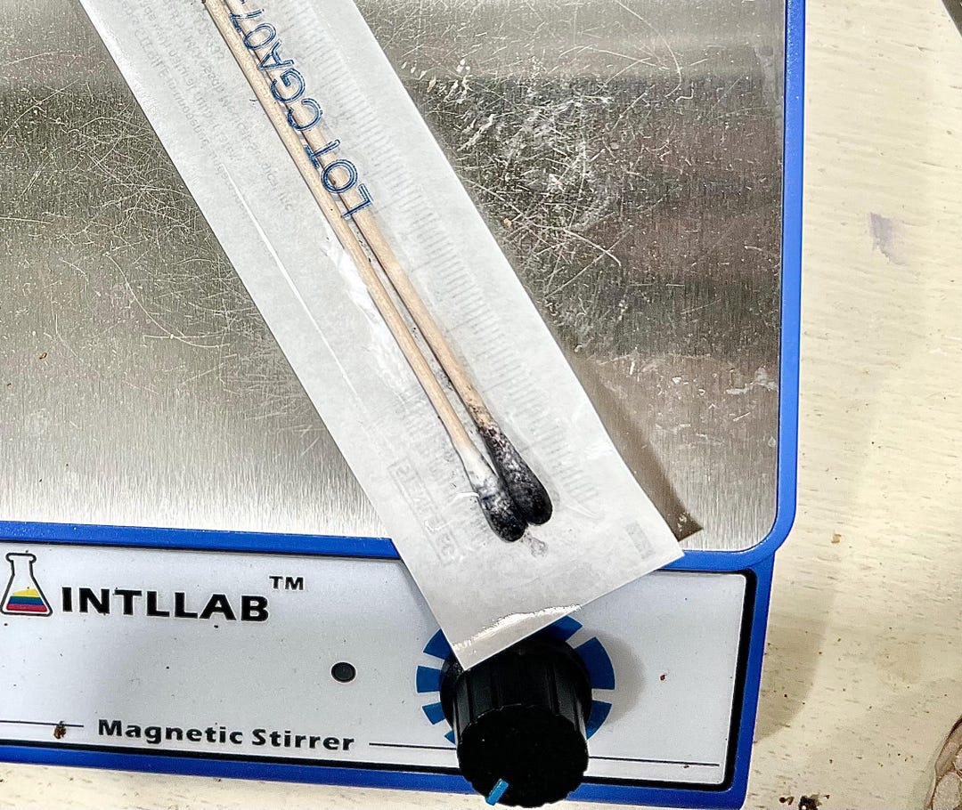 Spore Swab 2-packs for Microscopy - Etsy