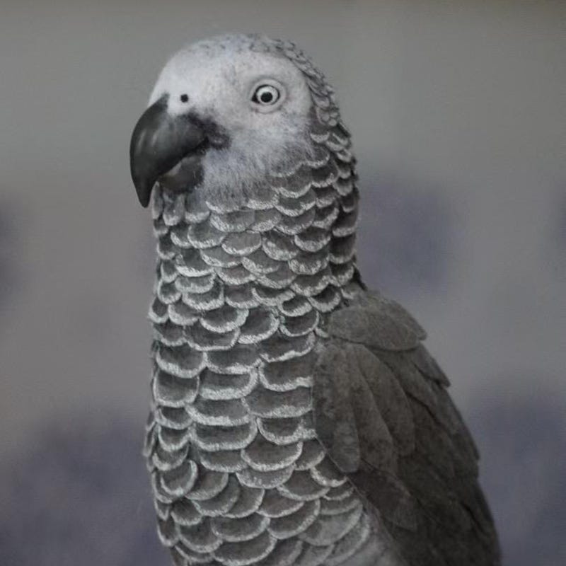 Needle Felted Parrot - Etsy
