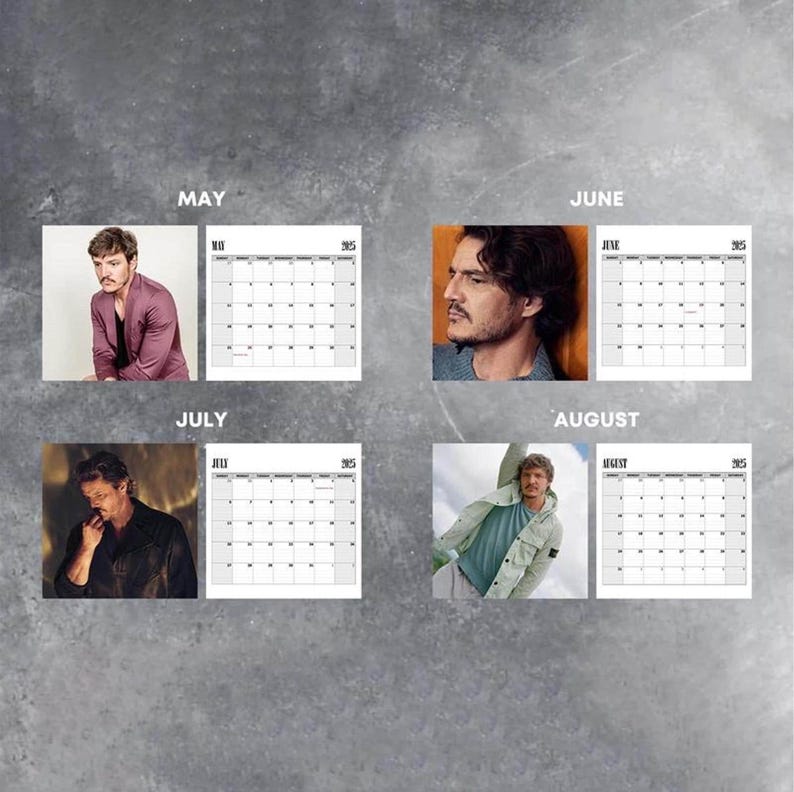 Pedro Pascal 2025 Wall Calendar Planner, Unique Holiday Gift, Fan Gift ...