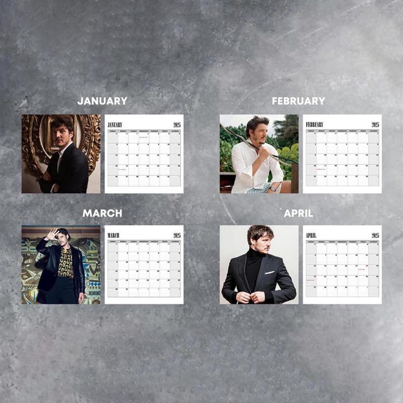 Pedro Pascal 2025 Wall Calendar Planner, Unique Holiday Gift, Fan Gift ...