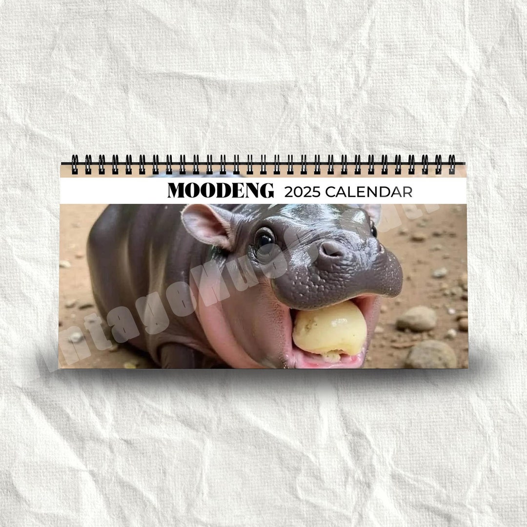 Funny Moo Deng 2025 Desktop Calendar, Fun Baby Pygmy Hippo Desk Planner ...